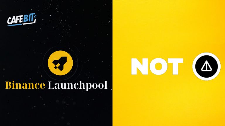 Binance Công Bố Dự Án Launchpool Thứ 54 Notcoin (not)